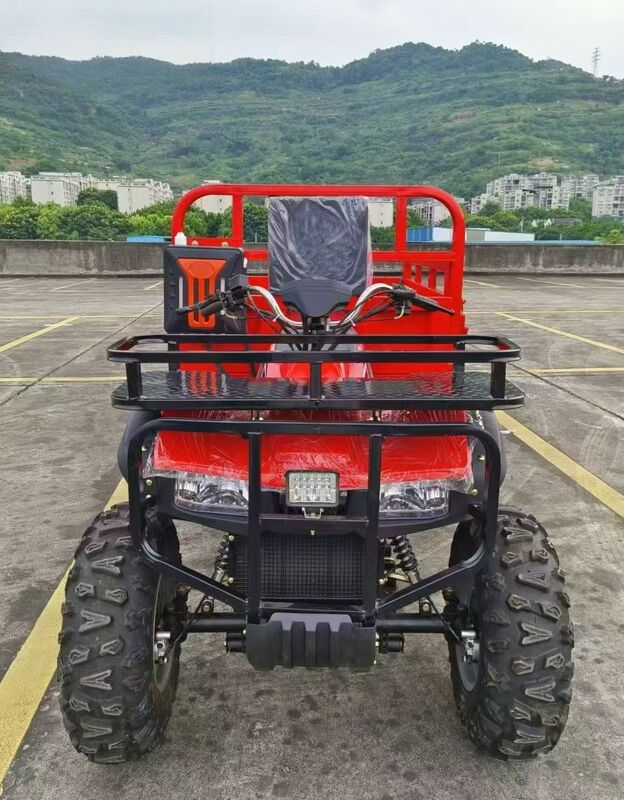 300cc Water-Cooled ATV Cargo Tricycle with 2000KG Load